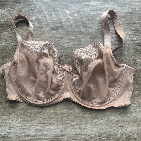 cleo | Intimates & Sleepwear | Cleo Panache Underwired Mesh Lace ...